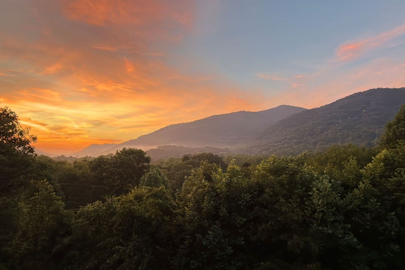 Sunny Bear Cabin-Eye Catching Sunrise!Dogs Welcome