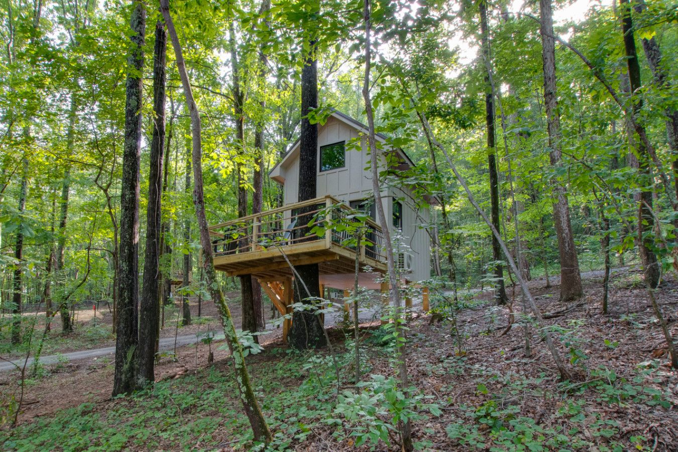 Pine Treehouse: Pet-Friendly Treehouse with Forest Views from a Private ...