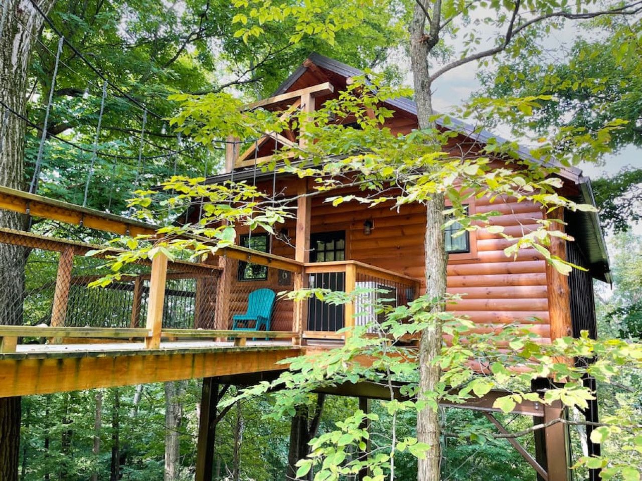 Treehouse #6
