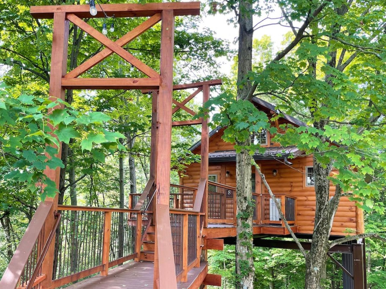 Treehouse #8