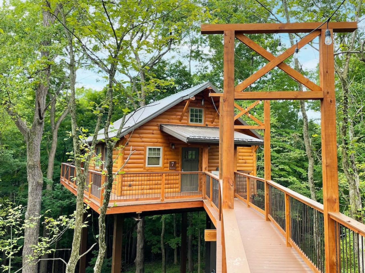Treehouse #7