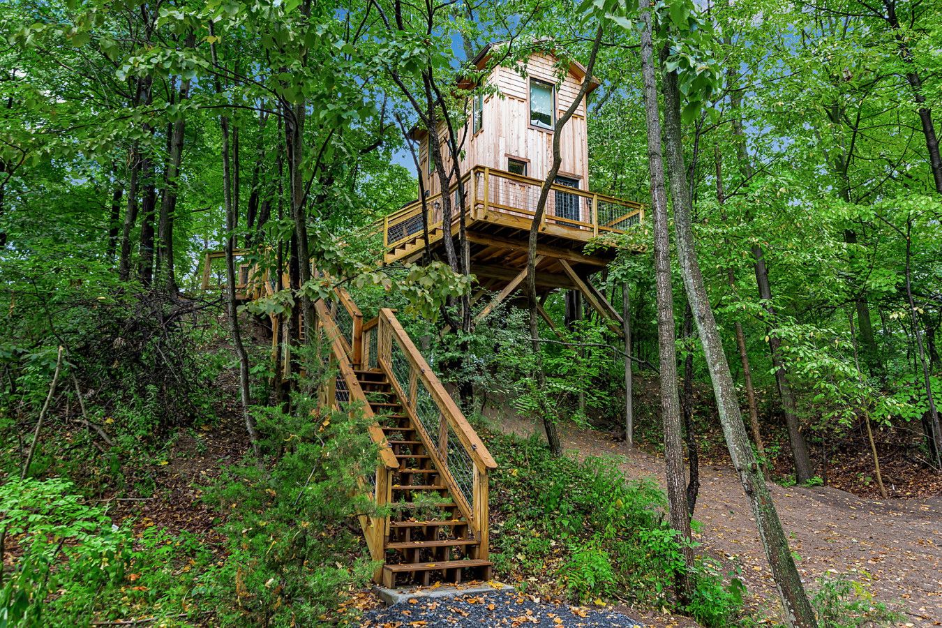 Lakefront Treehouse - Cowbird Canopy
